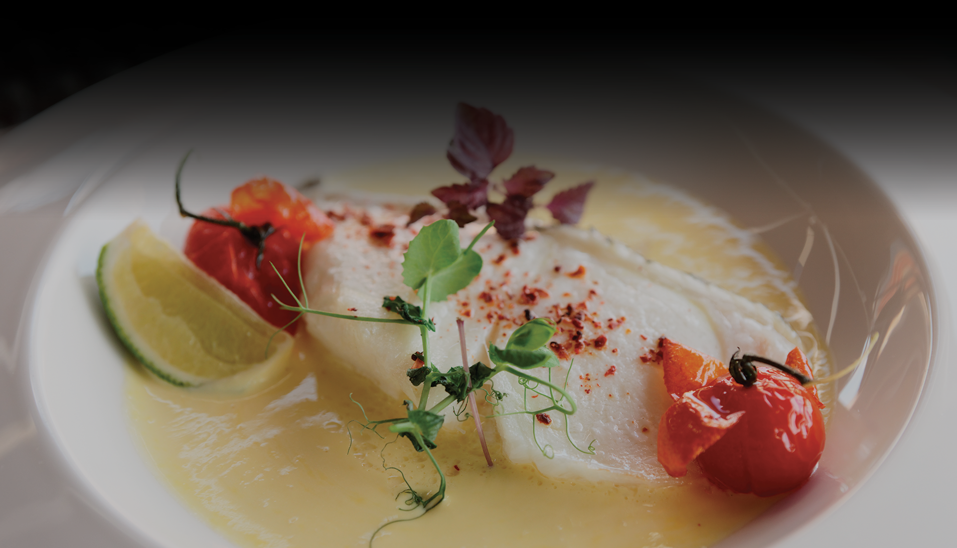 Premier Catering & Events – Inspired. Innovative. Impeccable.